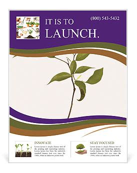 New Tree With Green Leaves Being Held By Isolated Hands Flyer Template Design ID