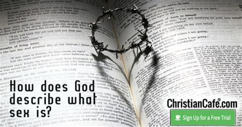 How Does God Describe What Sex Is What Does The Bible Say About It