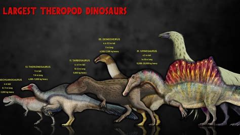 The 15 Largest Theropod Dinosaurs Ever Discovered Youtube