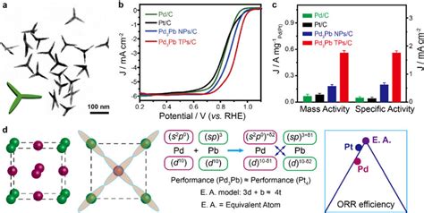 Tem Image Of Pd3pb Tripods A Orr Polarization Curves B And