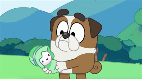 Blueys Friends Their Names Breed And Personalities Explained