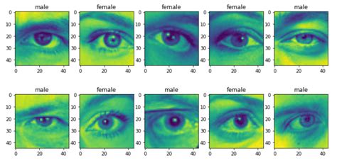 A Subset Of The Dataset Download Scientific Diagram