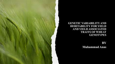 Genetic Variability And Heritability For Yield And Yield Ppt