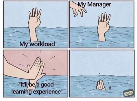 Jimena Perez Gramond M On Linkedin Confirmen🙃