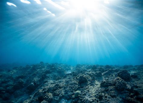 Climate Explained Ocean Acidification Save The Sound