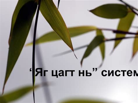 Яг цагт нь систем Ppt