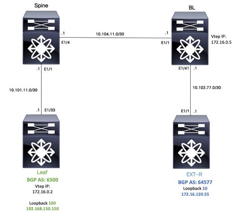 configure vxlan ebgp peering with external node on nexus 9000 cisco