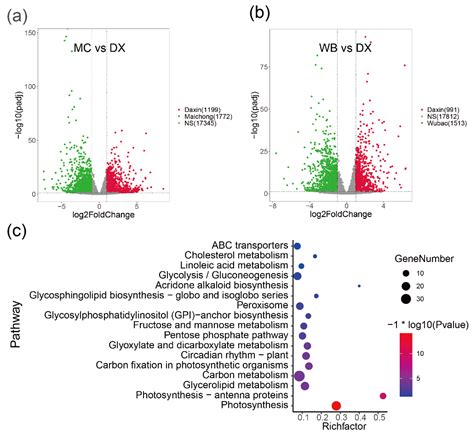 Transcriptome And Metabolome Analyses Provide Insights Into The Flavonoid Accumulation In Peels