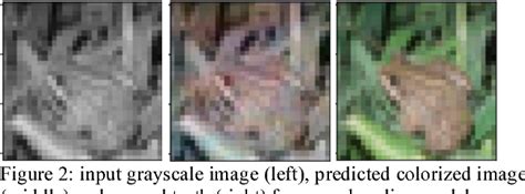 Figure 1 From Exploring Convolutional Neural Networks For Automatic