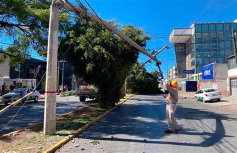 Viento Derriba árboles En Av Fray Diego De La Magdalena Y Av Carranza