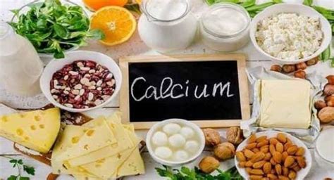 Weight Loss Diet Adding Calcium Rich Foods Can Increase Body Fat Loss