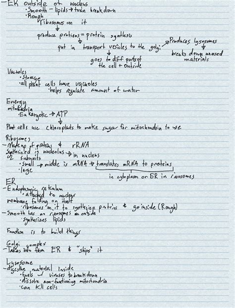 Cell Organelles Notability Gallery