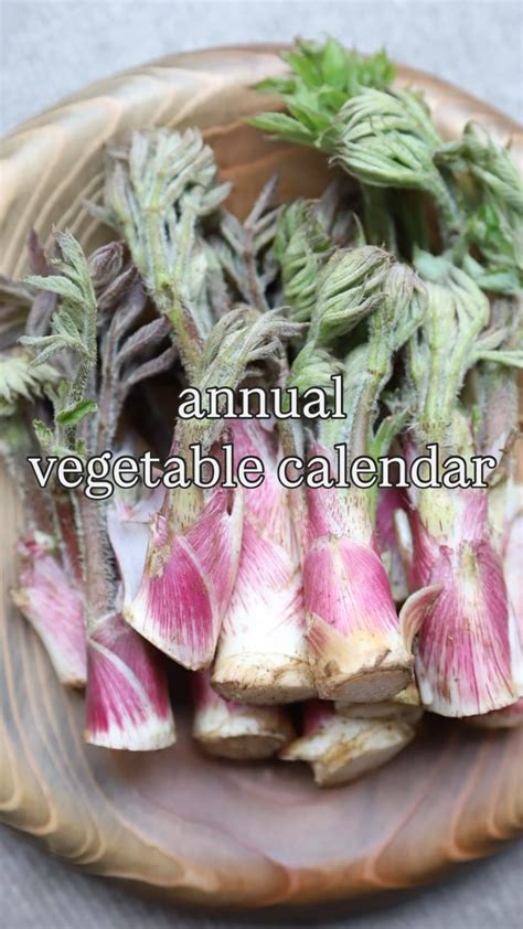 이양지의 부엌학교 안녕하세요~ 반가워채소야 오늘의 메뉴는 입니다 부지깽이를 데쳐서 물기를 제거한 후 마크로비오틱 깨소금과 들기름에 버무렸구요 양념장은 고춧가루 2t