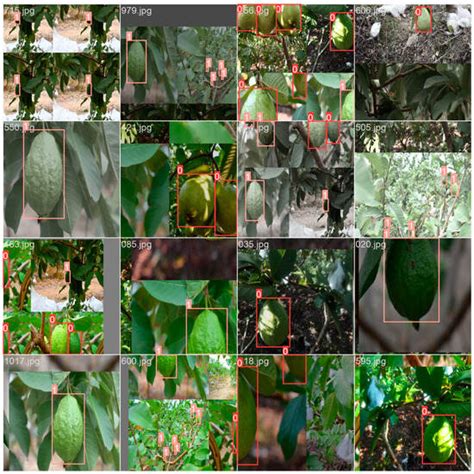 Agronomy Special Issue Intelligent Information System For Agriculture Based On Vision Technology