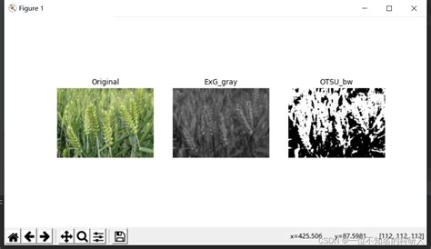 【图像分割】如何使用超绿特征值（exg）灰度化和二值化分割图像处理技术（python代码实现）超绿指数exg数值大小的意义 Csdn博客