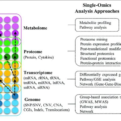 Different Layers Of Multi Omics Data Genome Transcriptome