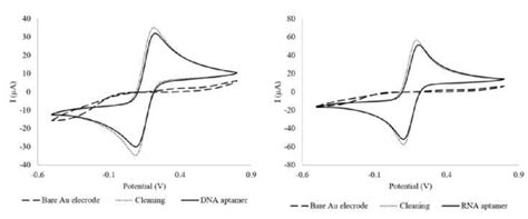 Cyclic Voltammograms Of The Bare Au Electrode Surface Cleaning And