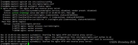 Nginx Upstream绑定端口失败nginx Emerg Bind To 00006445 Failed 13 Permission Deniednginx