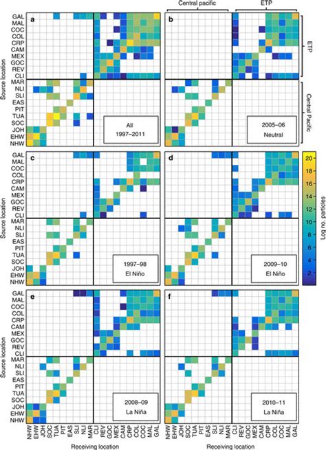 Potential Connectivity Matrices Connectivity Matrices Showing The