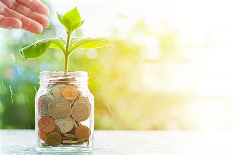 흐린된 녹색 자연 배경과 투자 비즈니스와 금융 성장 개념에 대 한 태양 빛 효과 및 복사 공간에 유리 항아리에 동전에서 성장 하는 식물을 급수 하는 손 개념에 대한 스톡