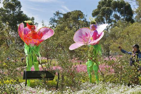 Guide To Australias Flower Festivals Dream With Luxury Escapes