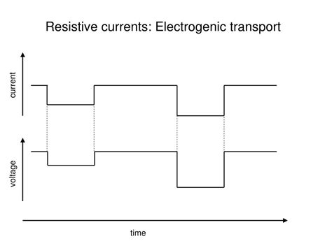 Ppt Structure And Function Of Neurotransmitter Transporters Powerpoint Presentation Id 4702127