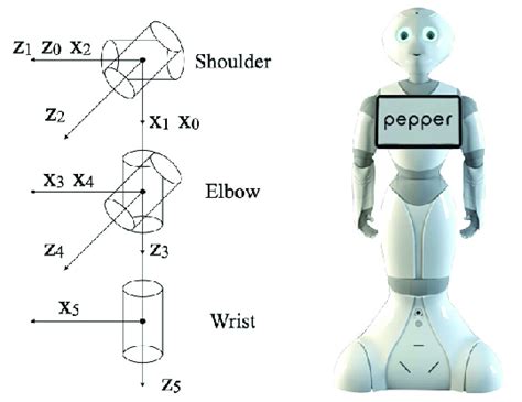 The Humanoid Robot Pepper And Its Arm Configuration The Humanoid Robot Download Scientific
