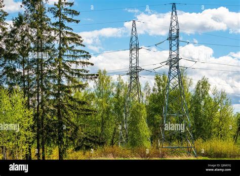 Electric Power Transmission Lines Over Trees High Voltage Transmission