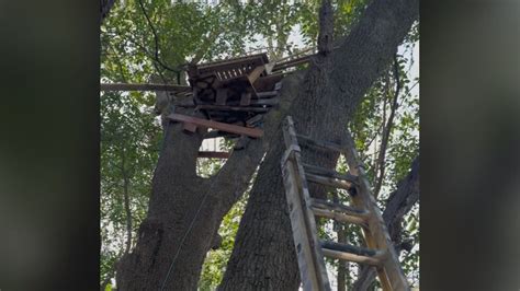 Registered Sex Offender Was Living In Makeshift Tree House Before Being