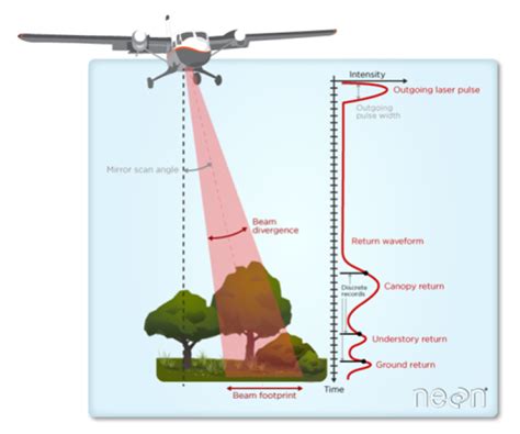 lidar nsf neon open data to understand our ecosystems