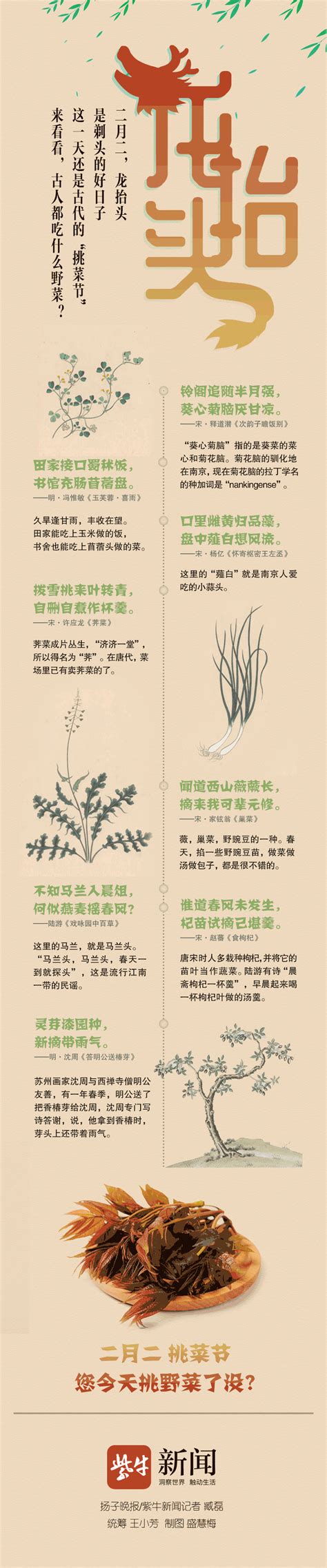 图说｜二月二 挑菜节，这些野菜你家餐桌上有吗？