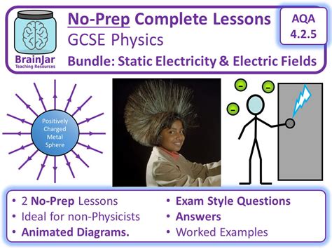 Bundle Static Electricity And Electric Fields Teaching Resources