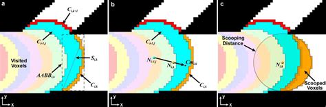 figure 2 from three dimensional neuron tracing by voxel scooping