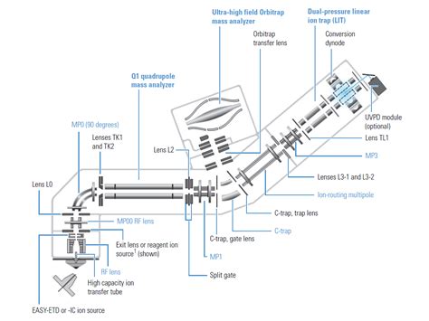 Orbitrap Fusion Lumos Tribrid Mass Spectrometer Creative Proteomics