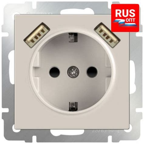 Розетка электрическая с двумя портами Usb тип A A 2400 мА под рамку Legrand Valena цвет