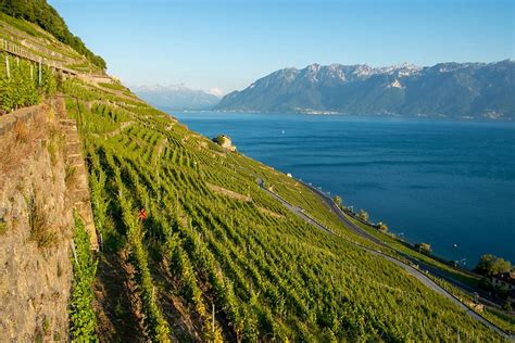 Killias Immobilier Votre Partenaire De Confiance Pour Limmobilier En Suisse