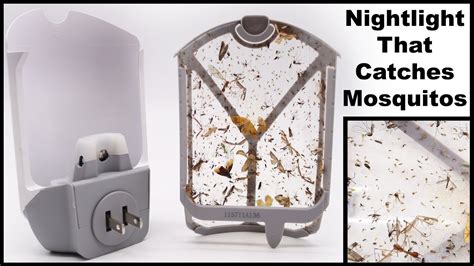 Does Zevo Flying Insect Trap Work