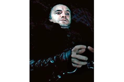 罗道夫斯·莱斯特兰奇jk罗琳小说《哈利·波特》系列中的人物搜狗百科