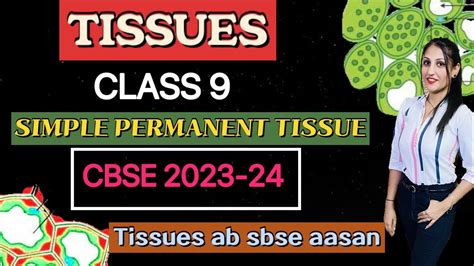 Tissue Class 9 Simple Permanent Tissue Class 9 Youtube