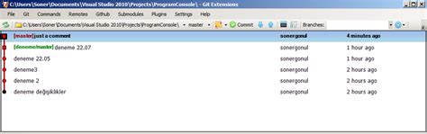 Visual Studio 2010 How Can I Push My Local Repository To Remote