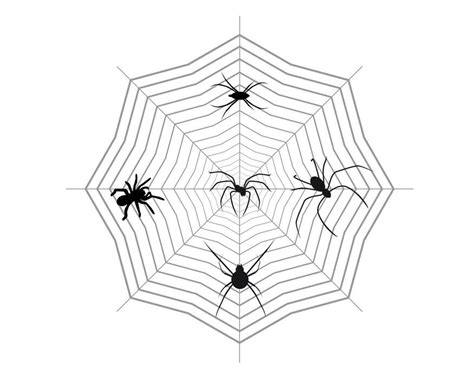 Spider Web Circle Vector Art Icons And Graphics For Free Download