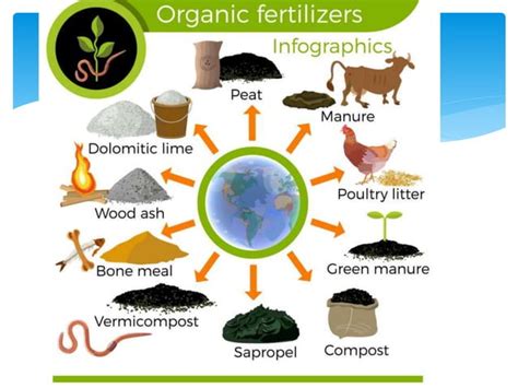 Perform Estimation And Calculation Pptx