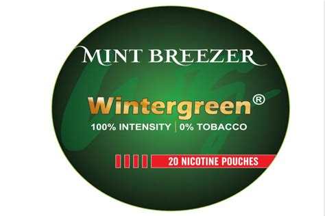 2 To 20 Mint Breezer Wintergreen Nicotine Pouches For Oral 1 At ₹ 350