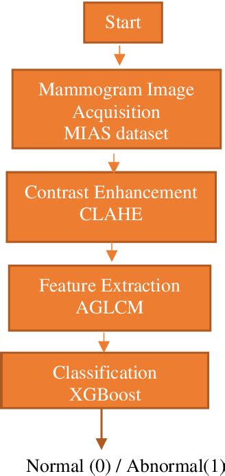 Figure 1 From A Robust Feature Extraction Technique For Breast Cancer Detection Using Digital