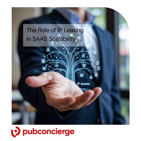 What Is An Ip Header Structure And Contents Pubconcierge Blog