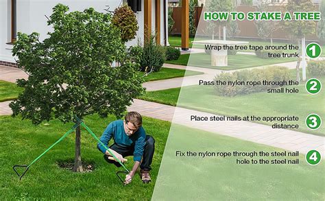 158 Tree Stakes And Supports For Leaning Treesspiral