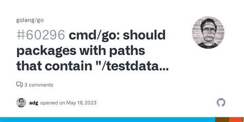 Cmdgo Should Packages With Paths That Contain Testdata Be Importable · Issue 60296