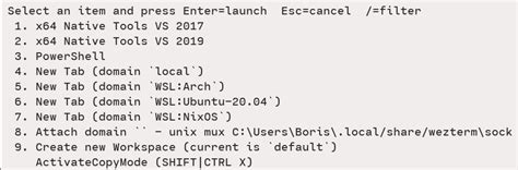 Process Didnt Exit Clearly Error Message When Trying To Open A Custom Shell Pwshexe Vs