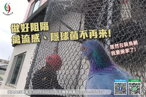 架設高密度防鳥網‼‼ 讓野鳥帶來的病菌👾👾不再來 台灣鳥害防治中心（一通電話全台服務）