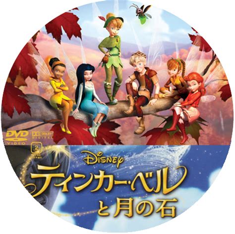 Dvd Dvd